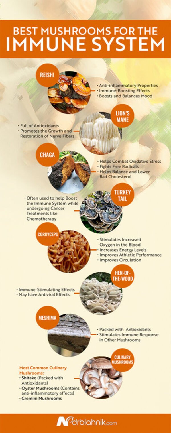 Which Mushrooms Are Best for Boosting Your Immune System?