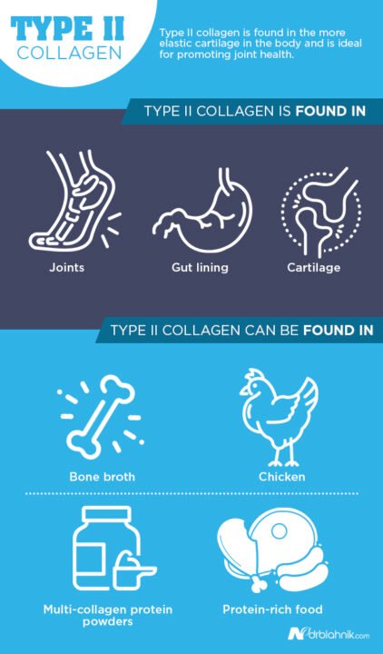 How Many Types of Collagen Are There and What Are They?