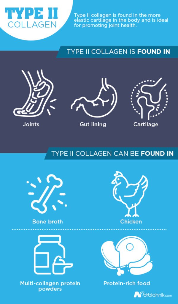 How Many Types of Collagen Are There and What Are They?