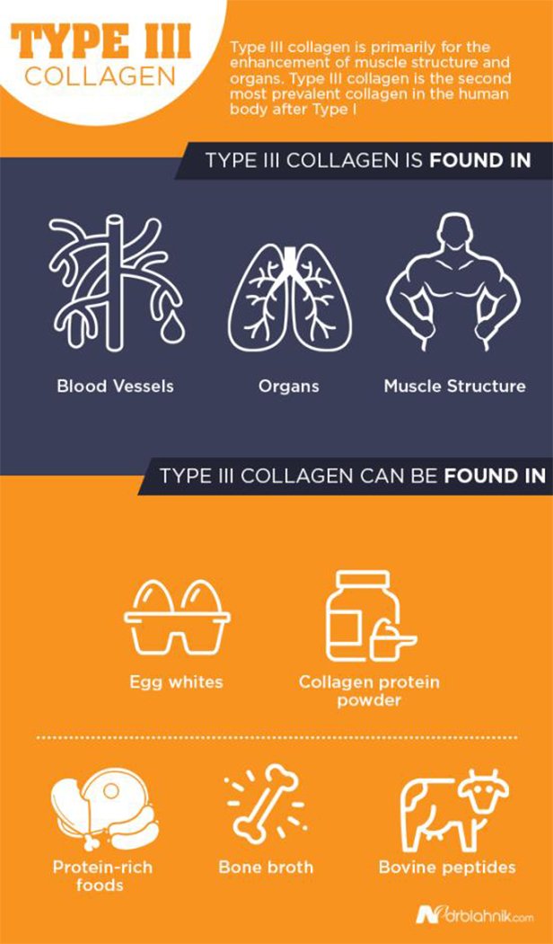 How Many Types of Collagen Are There and What Are They?