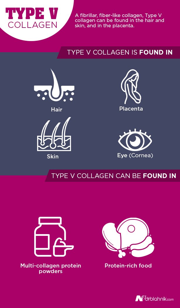 How Many Types of Collagen Are There and What Are They?